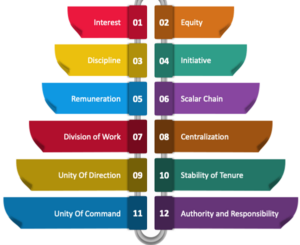 1.5. The 14 Principles of Management by Henri Fayol - Employability